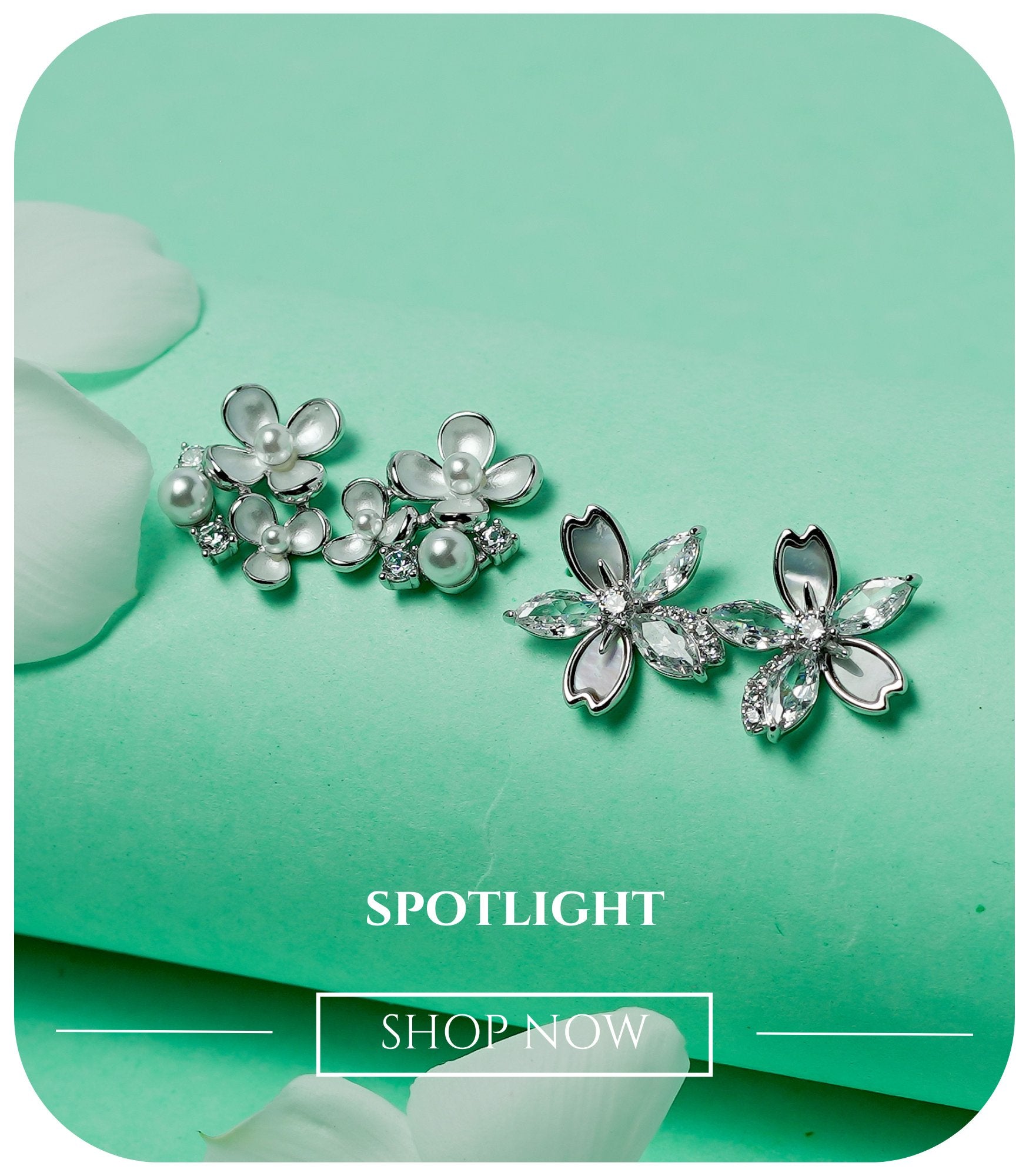 The Spotlight – SONNAAR